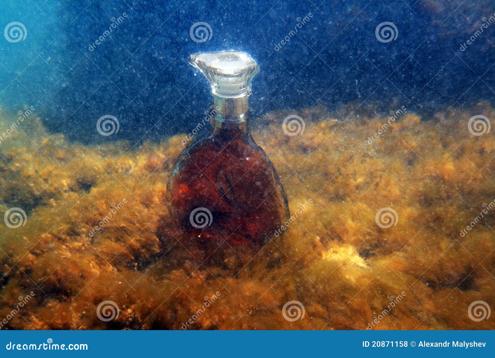 Brandy on water. stock photo. Image of brandy, sunlight - 20871158