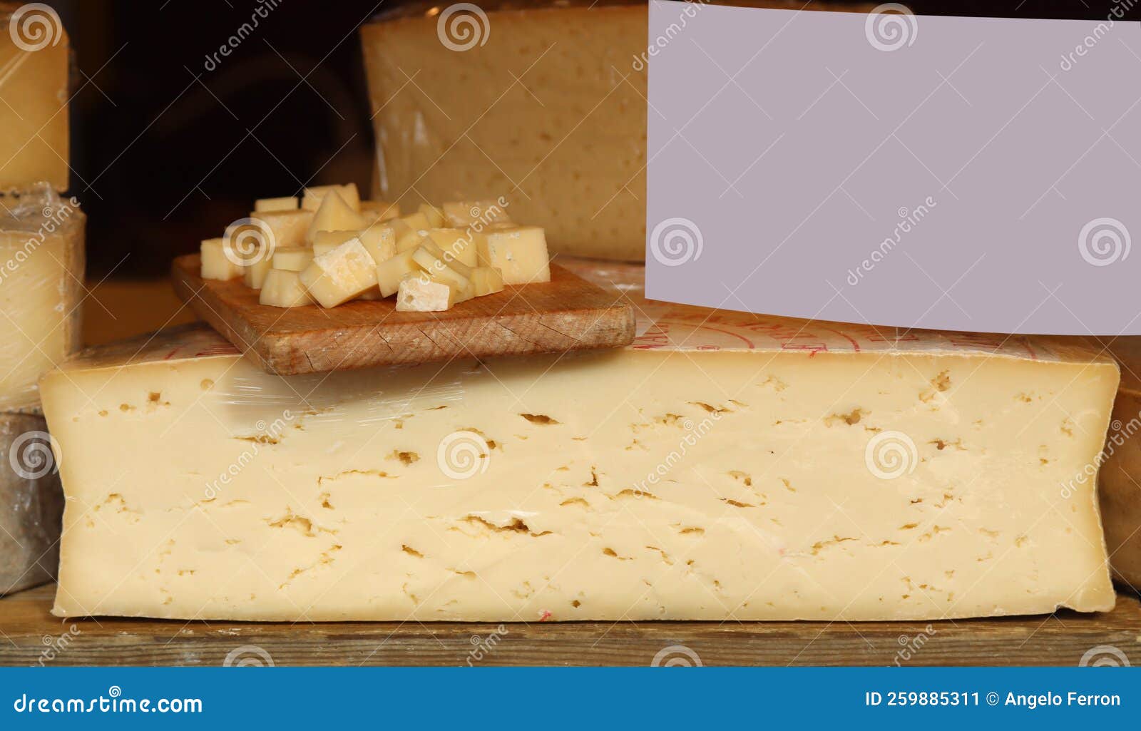 Branzi Cheese Round Shape Cut- Stock Image - Image of snack, soft ...