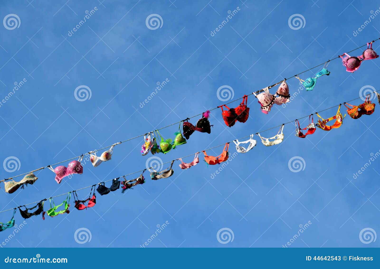 Bras on clothes line stock image. Image of double, breast - 44642543