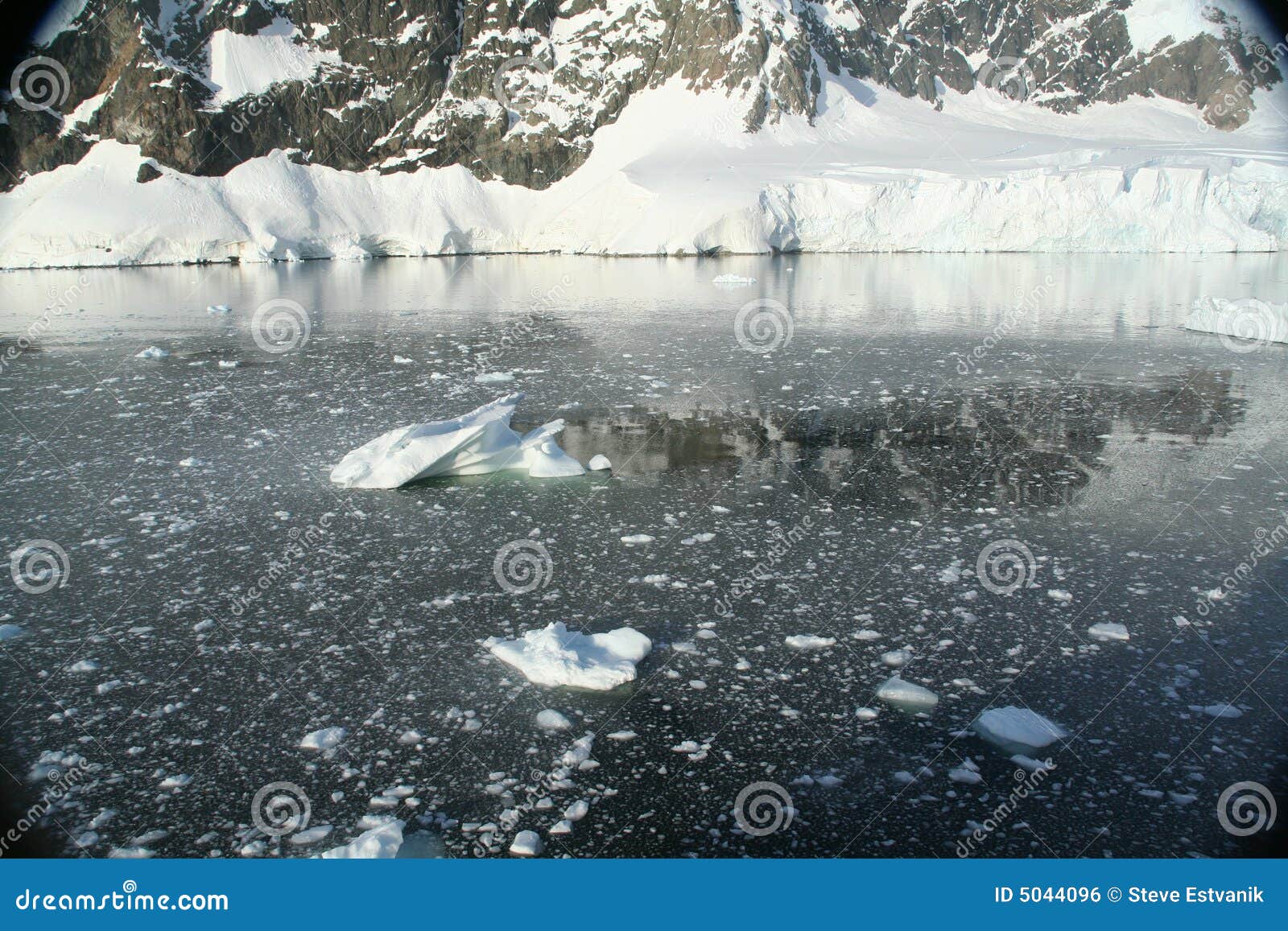 Brash ice, icebergs stock photo. Image of arctic, polar - 5044096