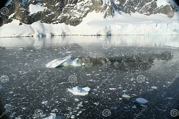 Brash ice, icebergs stock photo. Image of arctic, polar - 5044096