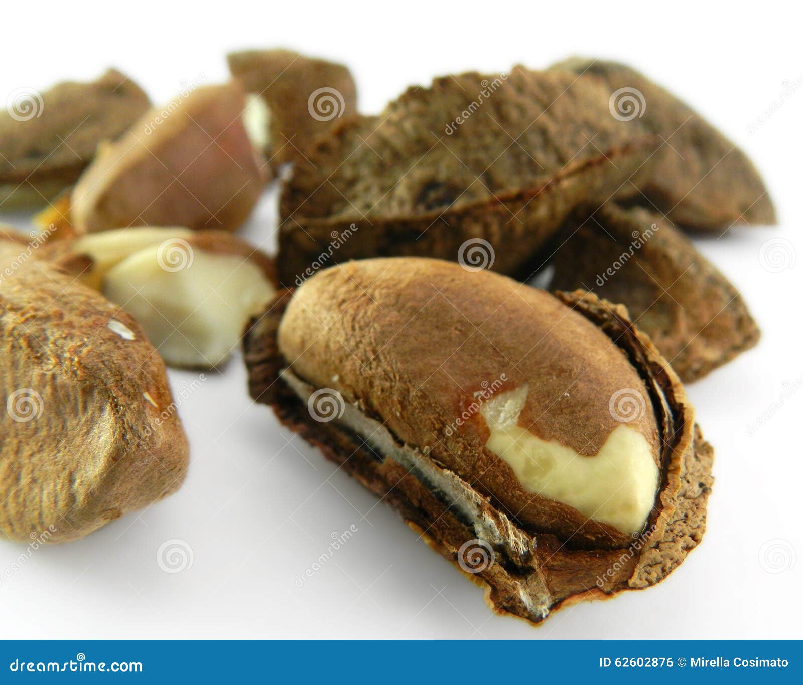 Brasilianska muttrar arkivfoto. Bild av omega, natur - 62602876