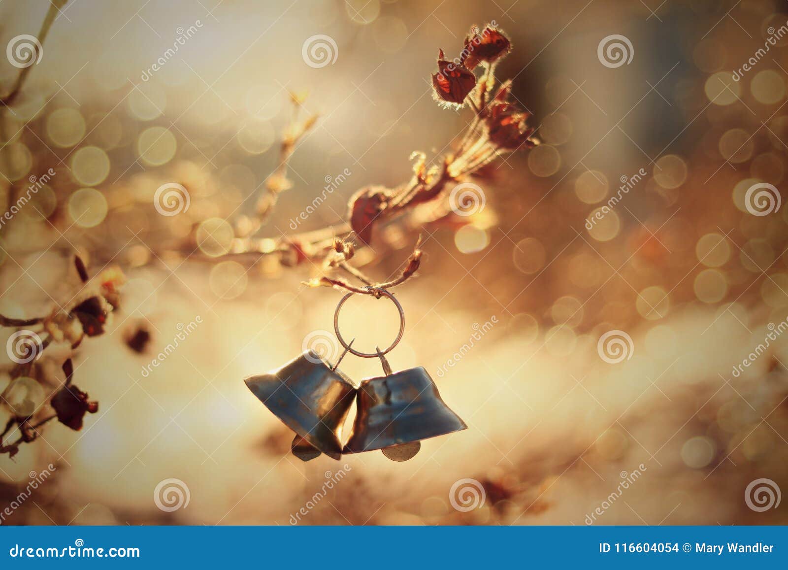 Brass Bells Hanging from Dried Flowers Stock Photo - Image of flowers ...