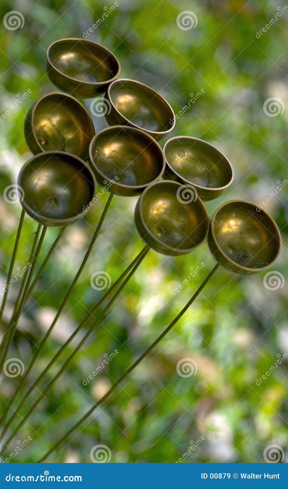 Brass Bouquet stock image. Image of spring, cups, metal, stems - 879