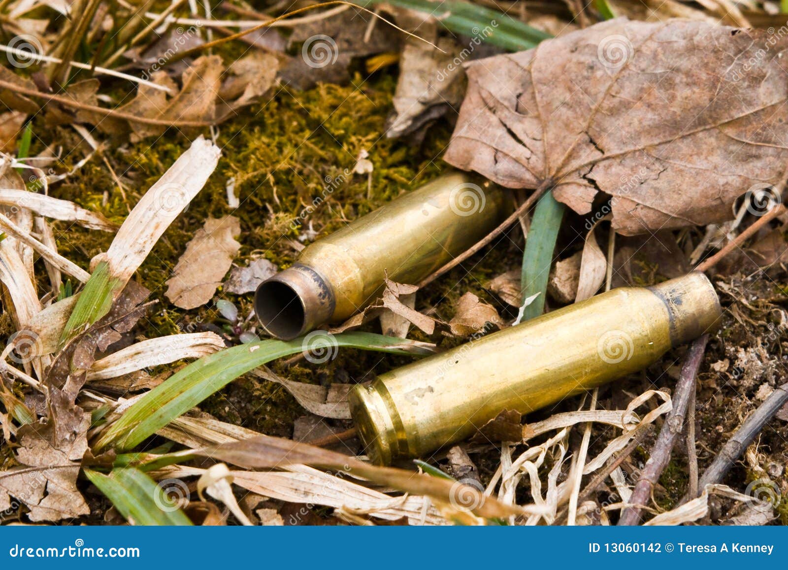 Brass Cartridge stock photo. Image of used, cartridges - 13060142