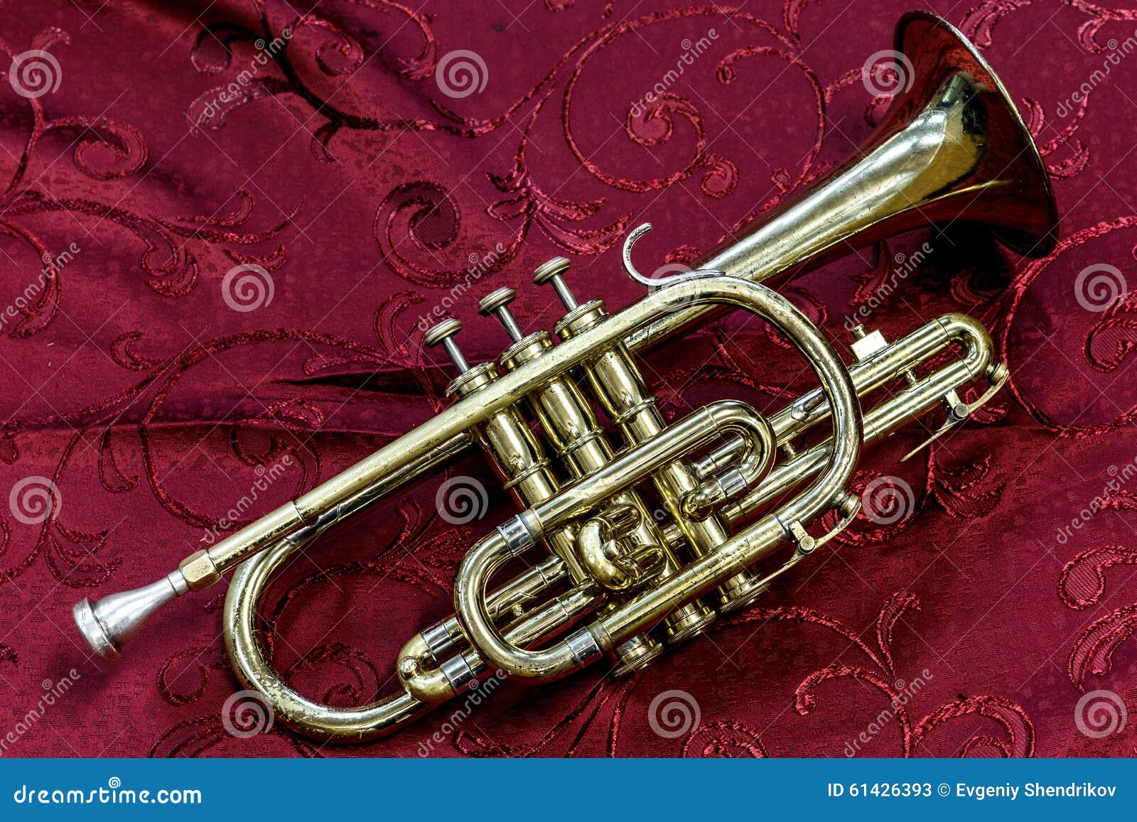 Brass stock image. Image of cornet, brass, bass, musician - 61426393