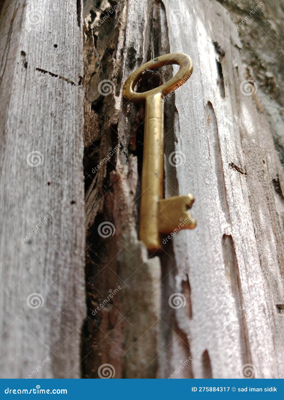Brass House Key on an Old Door Stock Image - Image of house, door ...