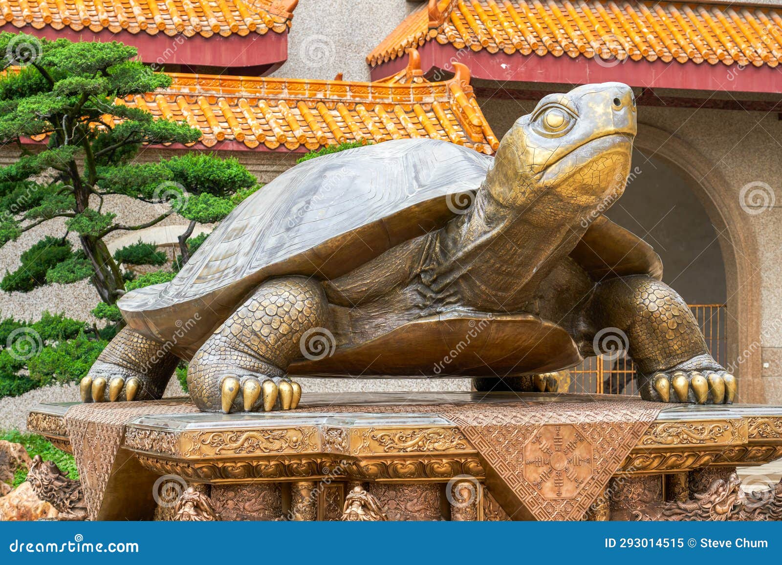 Brass Turtle Sculpture in Luxury Chinese Garden Stock Image - Image of ...