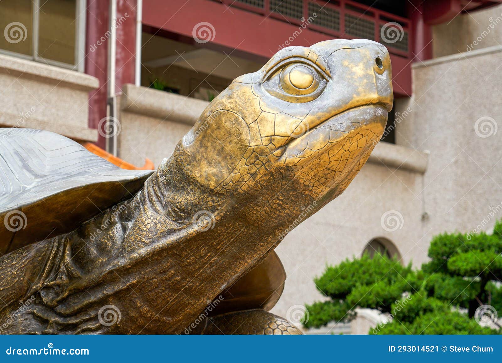 Brass Turtle Sculpture in Luxury Chinese Garden Stock Image - Image of ...