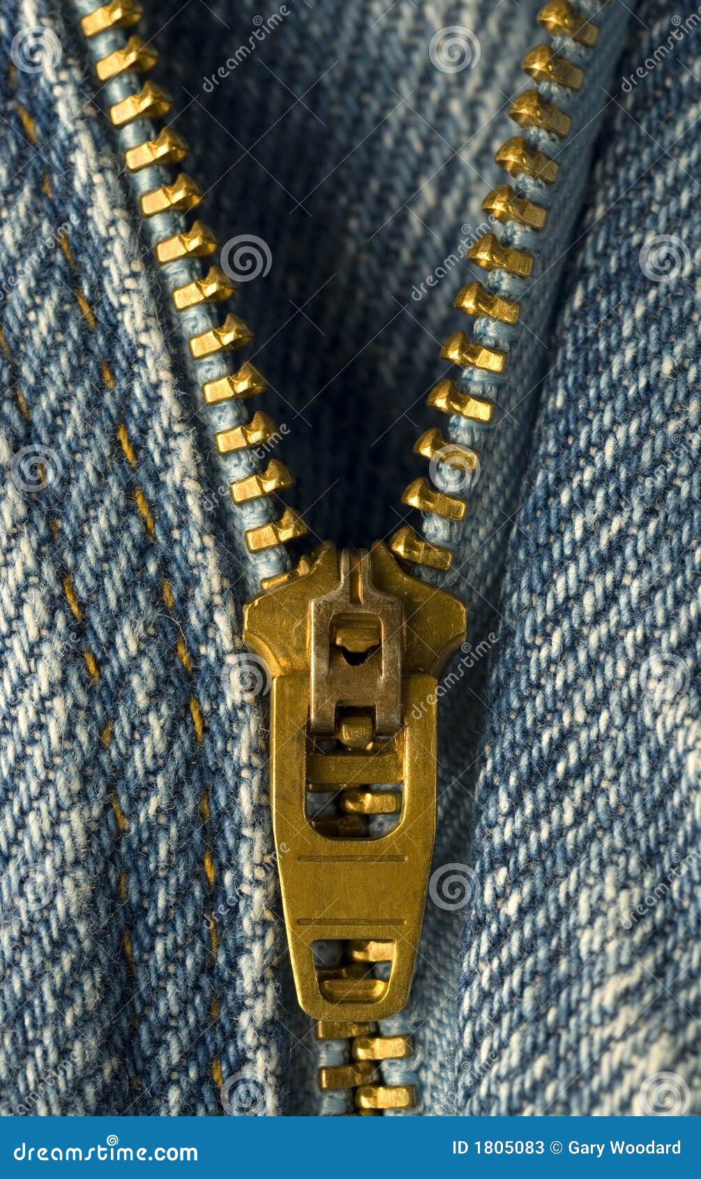 Brass Zipper. stock image. Image of denim, unzipped, clothing - 1805083