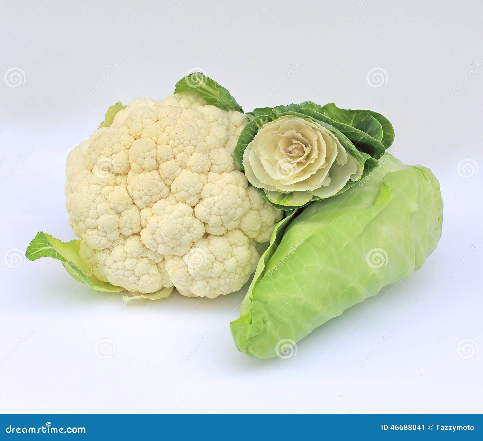 Brassica vegetables stock image. Image of food, rose - 46688041