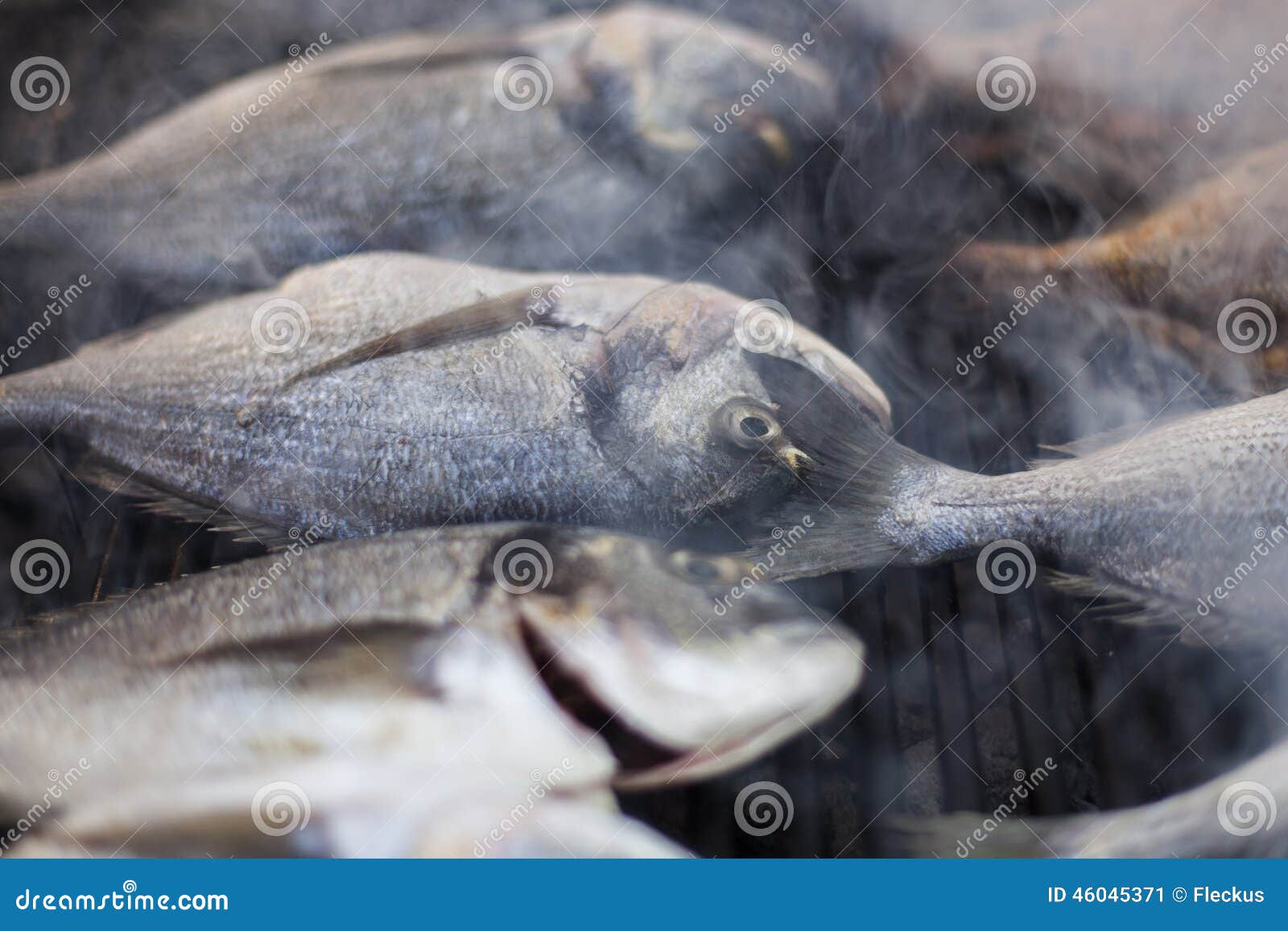 Bratfisch - Fish on the Grill Stock Image - Image of cook, sparus: 46045371