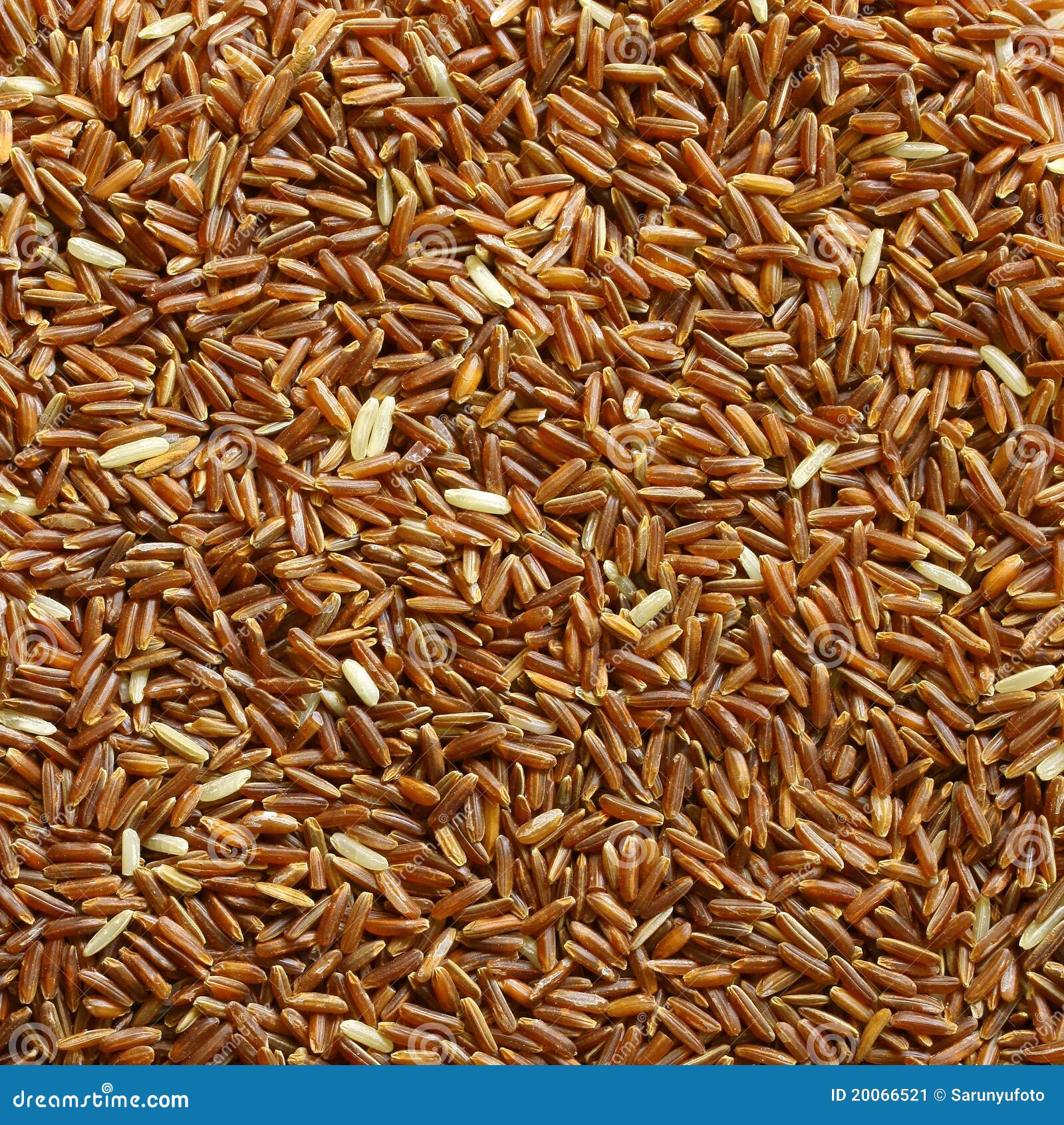 Brauner Reis des Kornes stockbild. Bild von teller, voll - 20066521