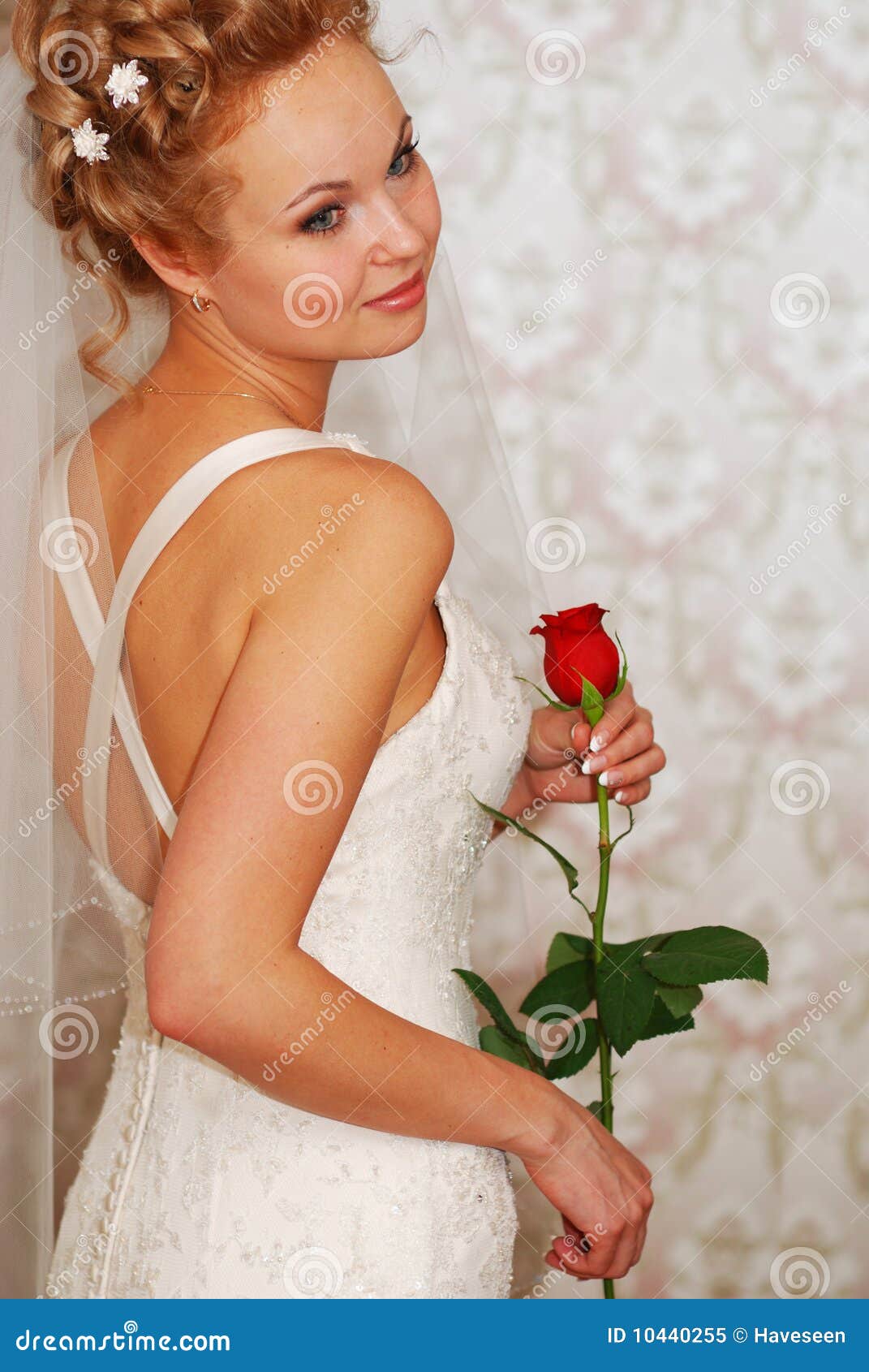 Braut stockbild. Bild von kaukasisch, kleid, frau, braut - 10440255