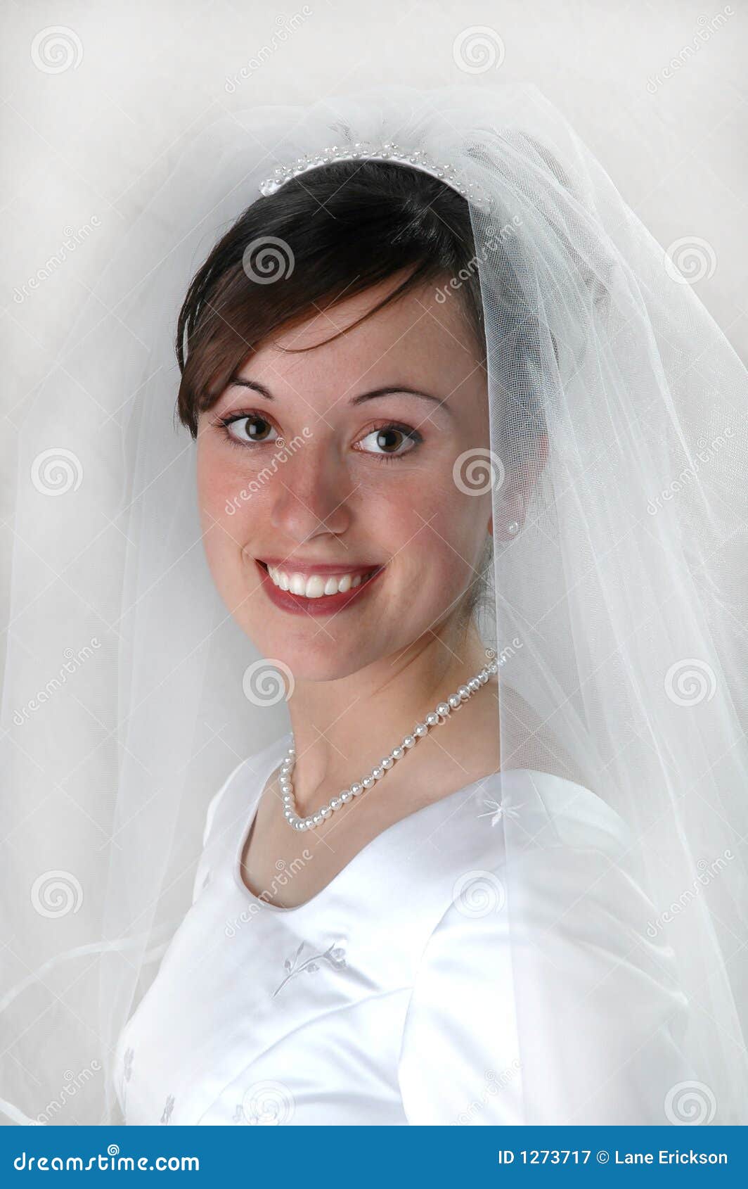 Braut-Portrait-Schleier stockbild. Bild von träumen, verbindung - 1273717