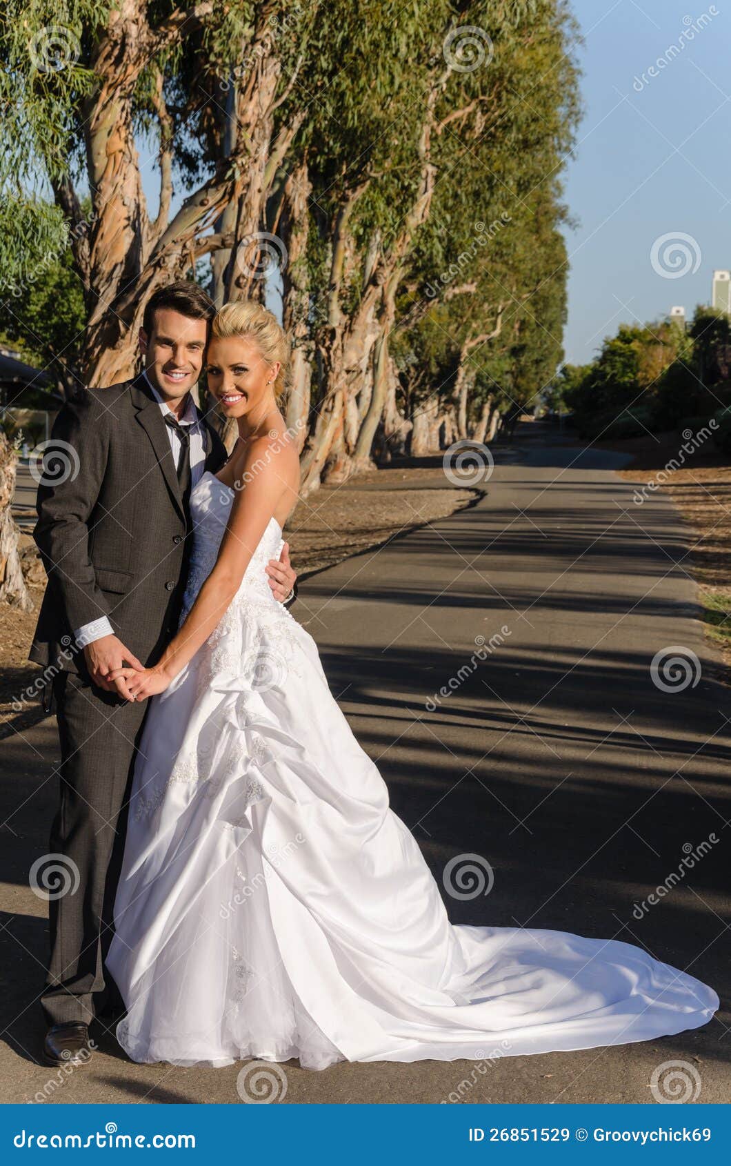 Braut und Bräutigam stockbild. Bild von ring, schmucksachen - 26851529