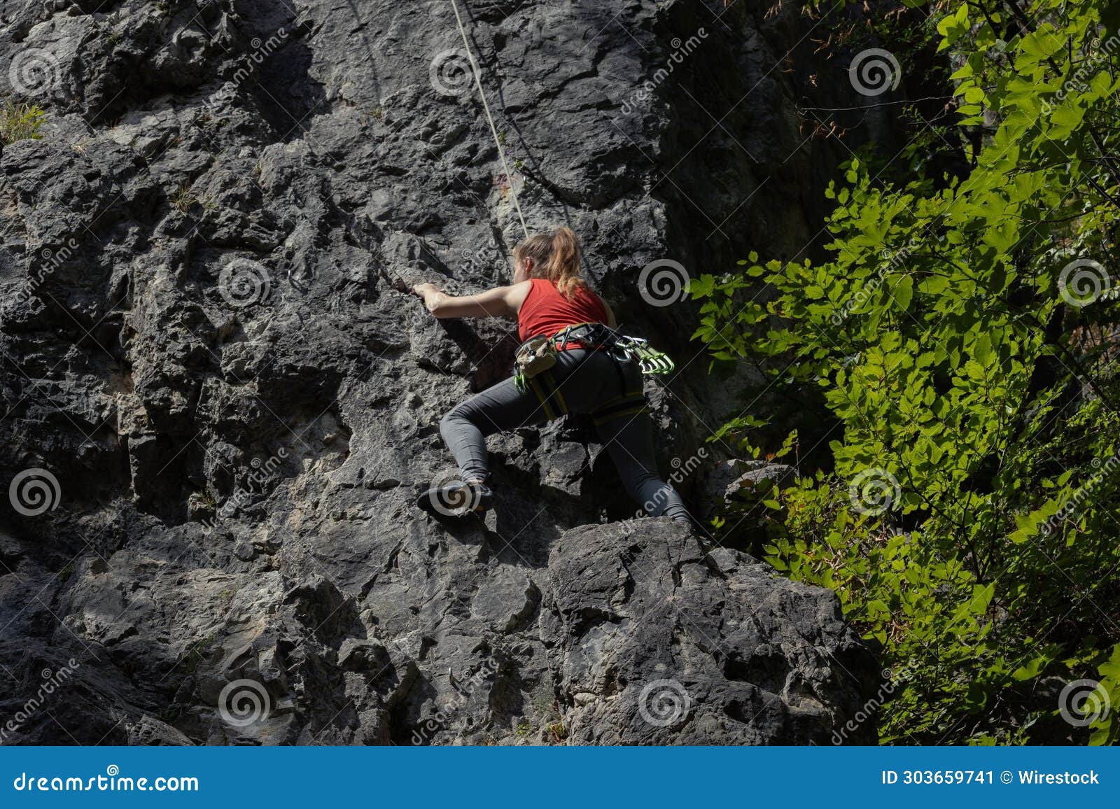 Brave Climber Scaling a Towering Cliff Face in a Lush Green Forest ...