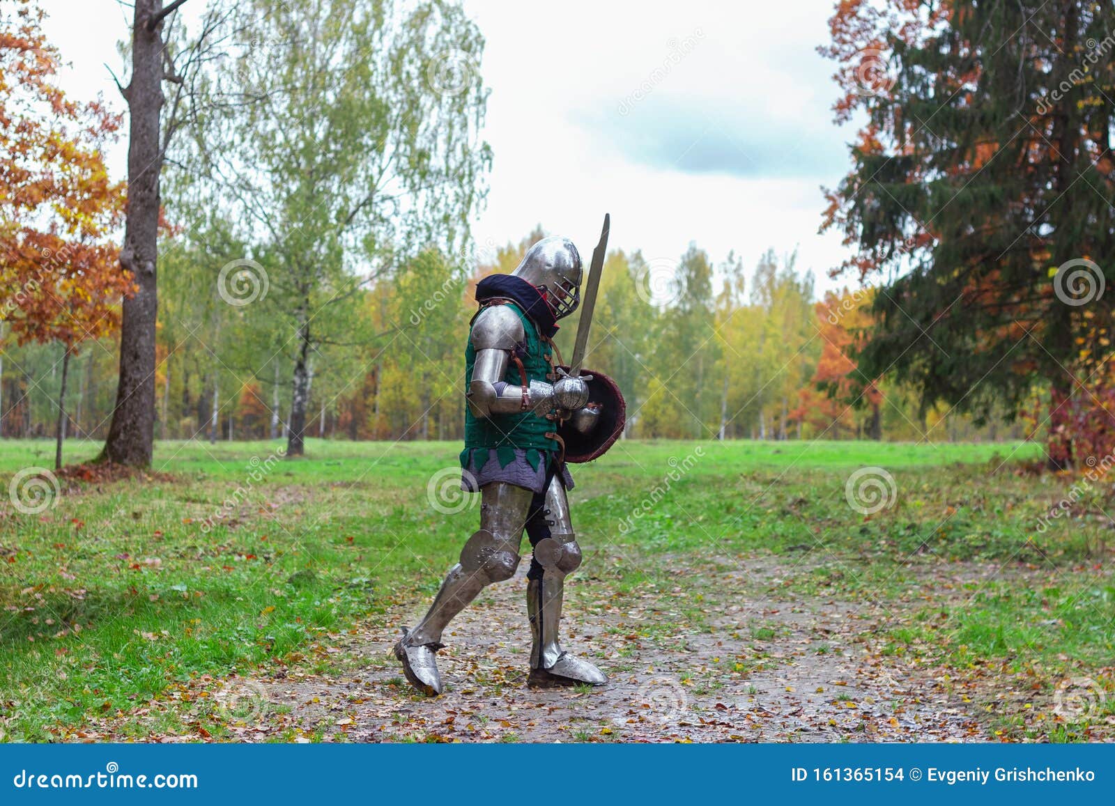 Brave Knight With His Sword Stock Photography | CartoonDealer.com #12044270