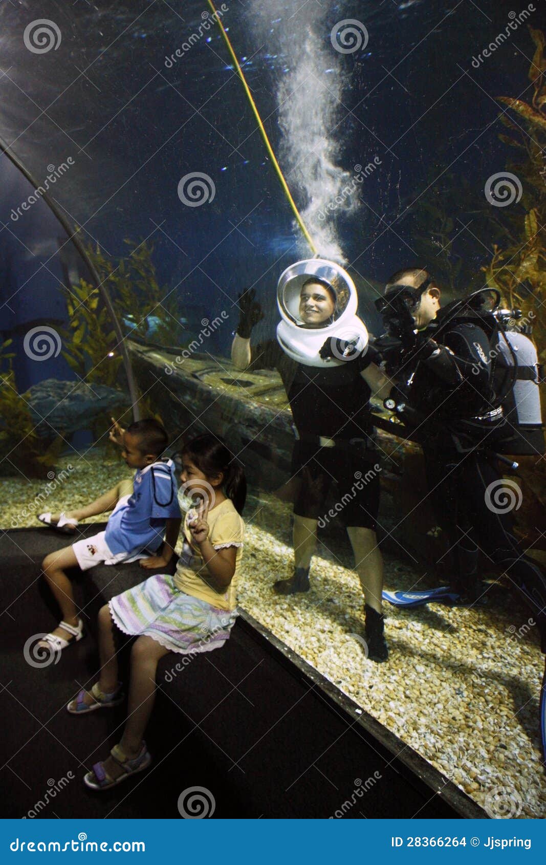 Brave Tourist Diving in Ocean Aquarium Editorial Stock Image - Image of ...