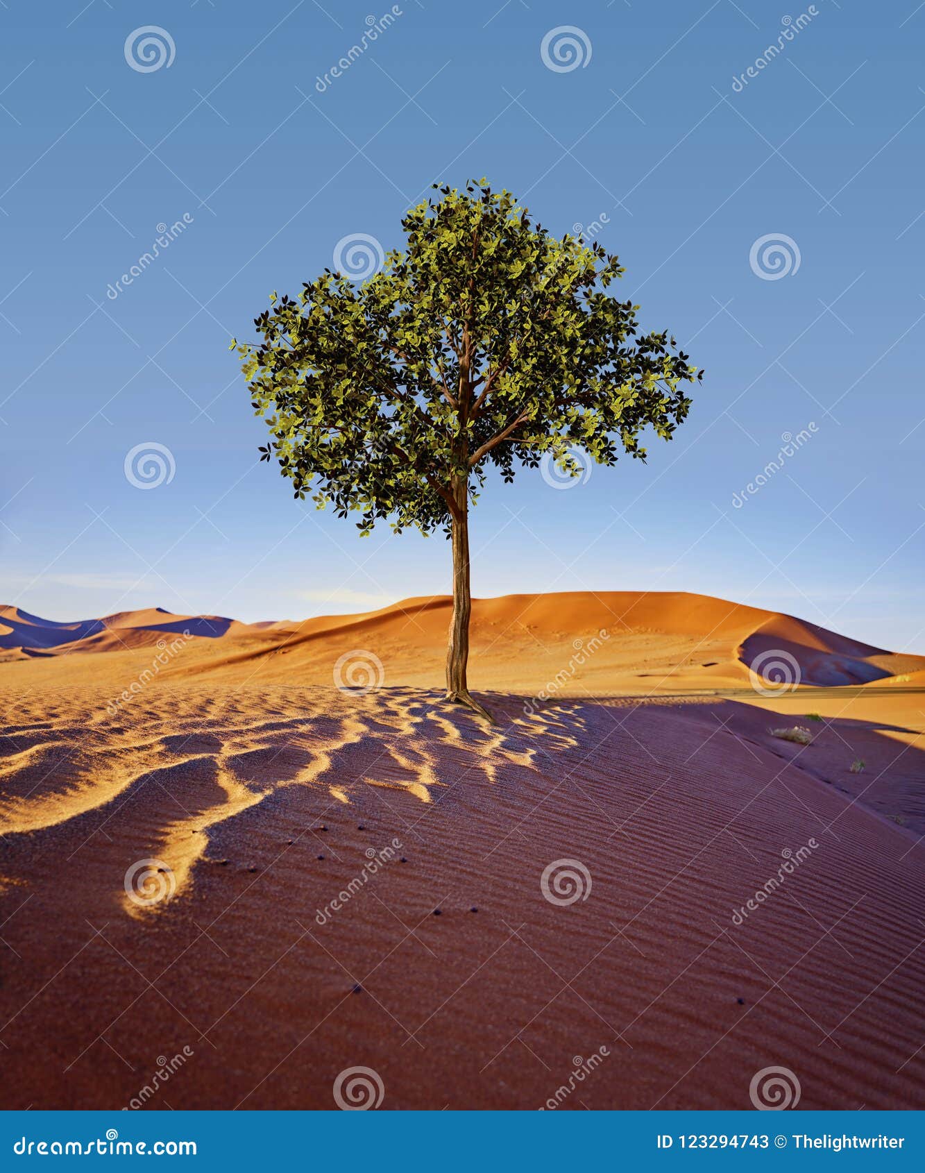 Brave Tree Standing Alone in the Desert Stock Image - Image of solitude ...