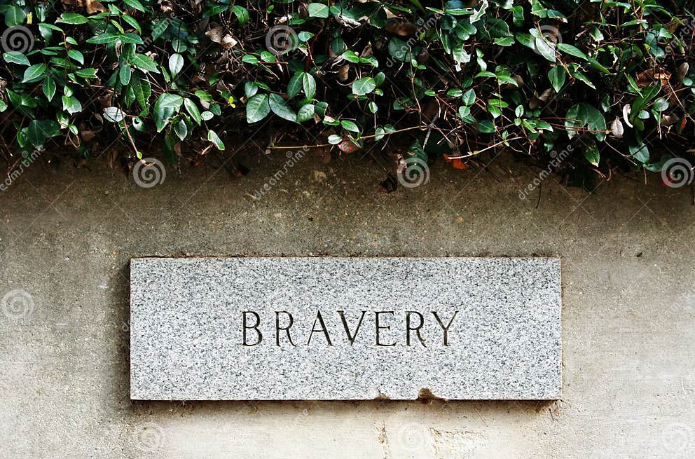 Bravery stock image. Image of valor, gallantry, daring - 3713599