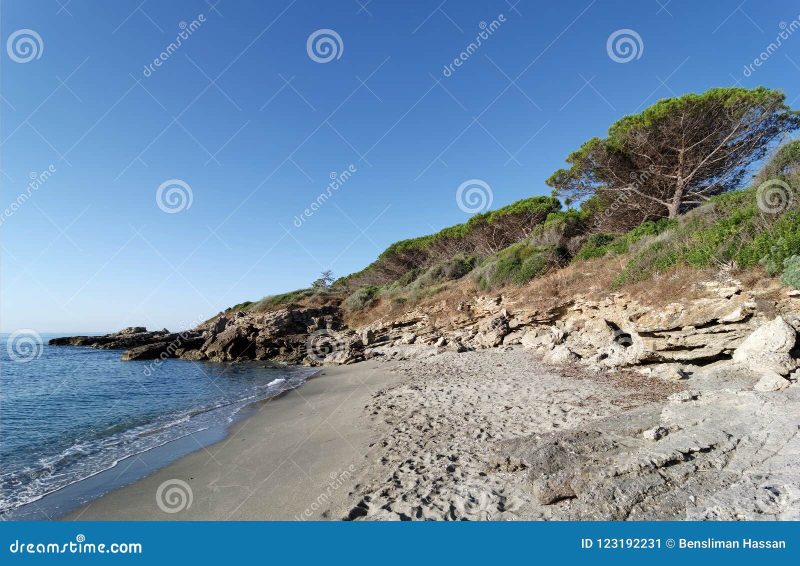 Bravone Beach in Corsica Coast Stock Image - Image of nature, corsica ...