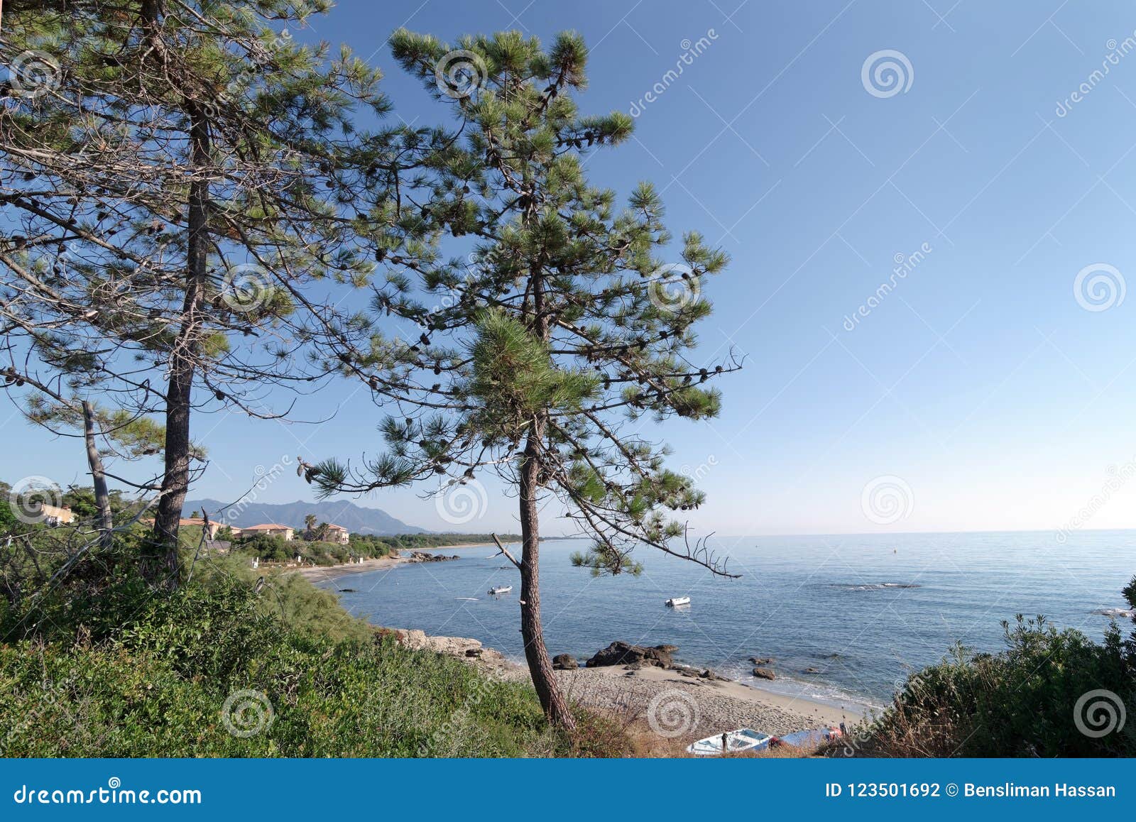 Bravone Coast in Corsica Island Stock Photo - Image of view, corsica ...