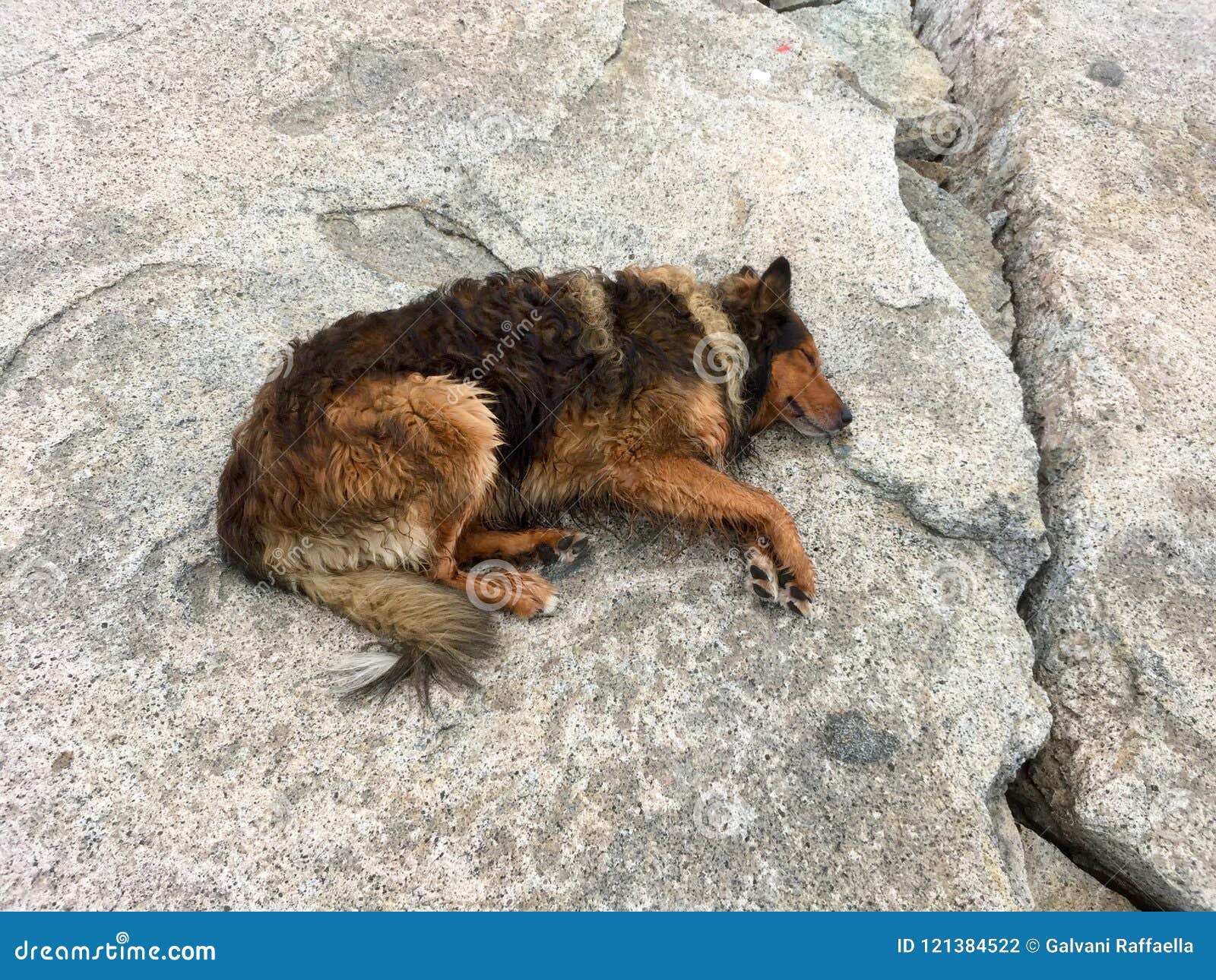 Rock With Tired Hikers Legs Without Shoes. Naked Male Legs. Stock Image ...
