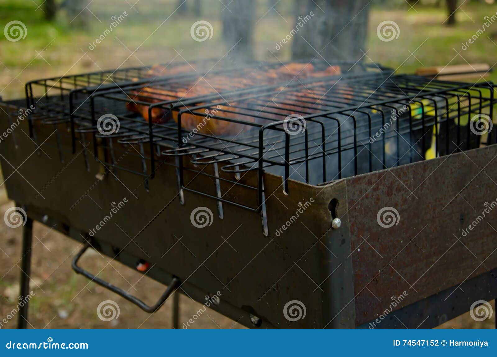 Brazier stock photo. Image of food, coal, picnic, meal - 74547152