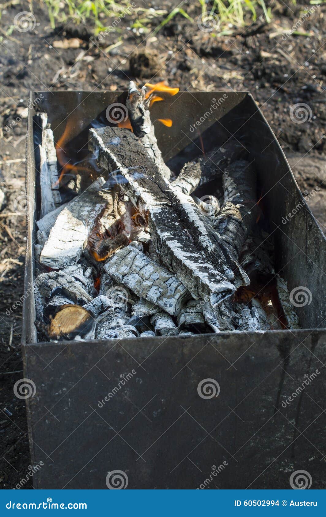 Brazier stock photo. Image of smoke, rest, lattice, delicatessen - 60502994