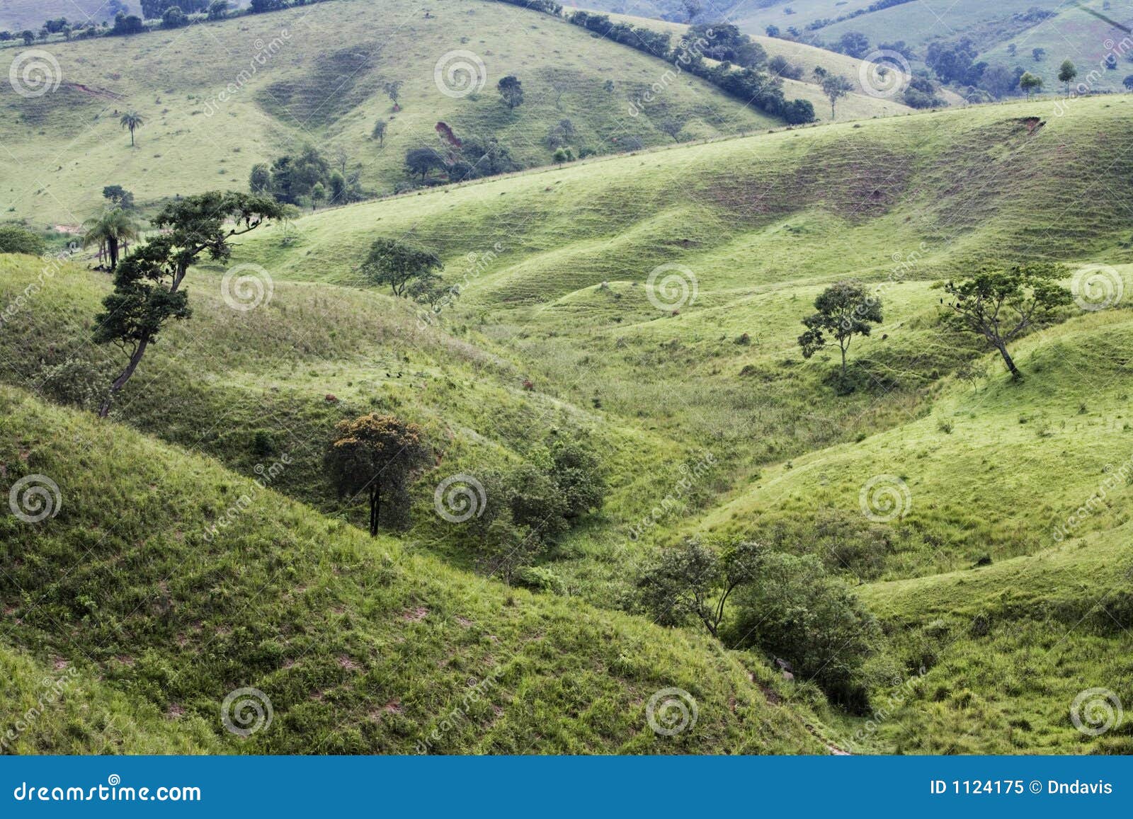 Brazil stock image. Image of farming, traditional, country - 1124175