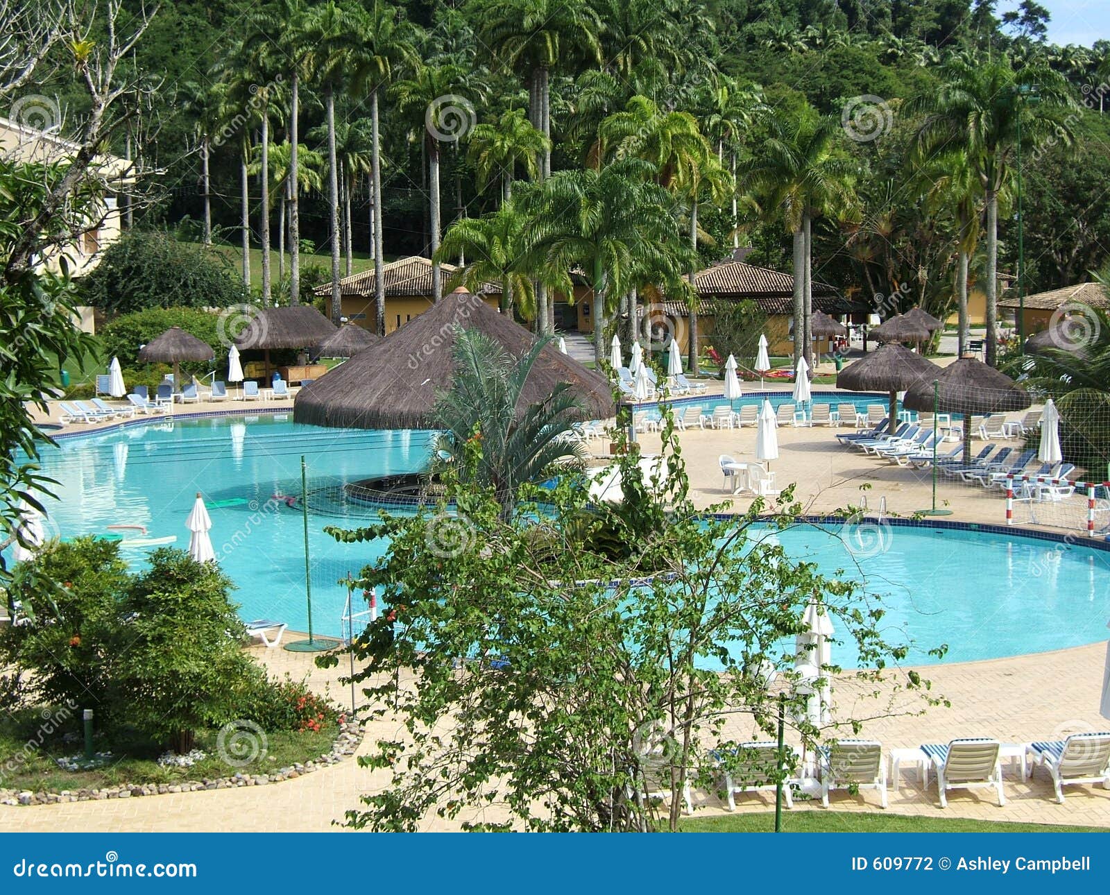 Brazil: Angra dos Reis stock photo. Image of pool, trees - 609772