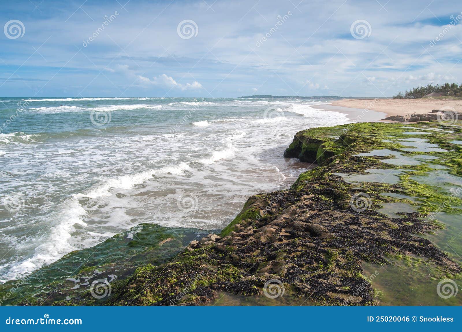 Coastline Brazil stock photo. Image of breeze, beauty - 25020046