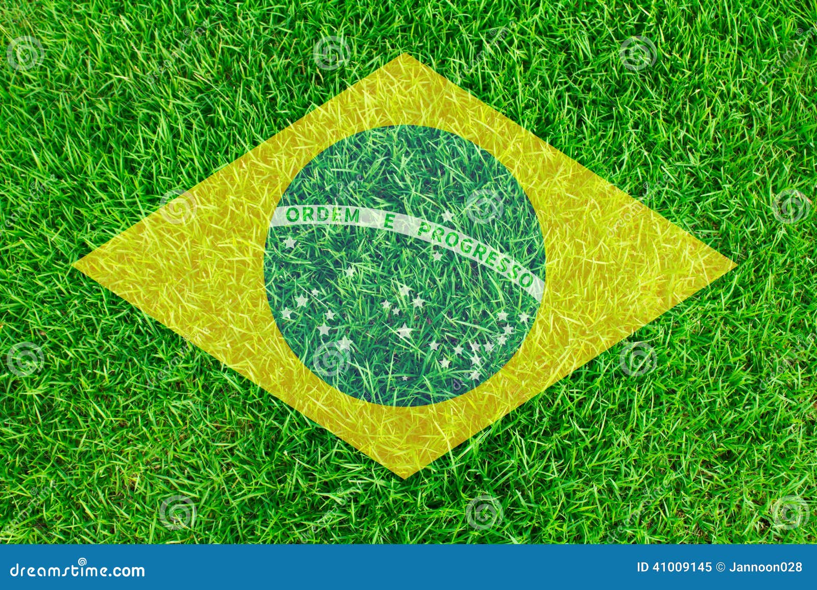 Brazil Grass of Soccer Championship 2014 Stock Image - Image of ...