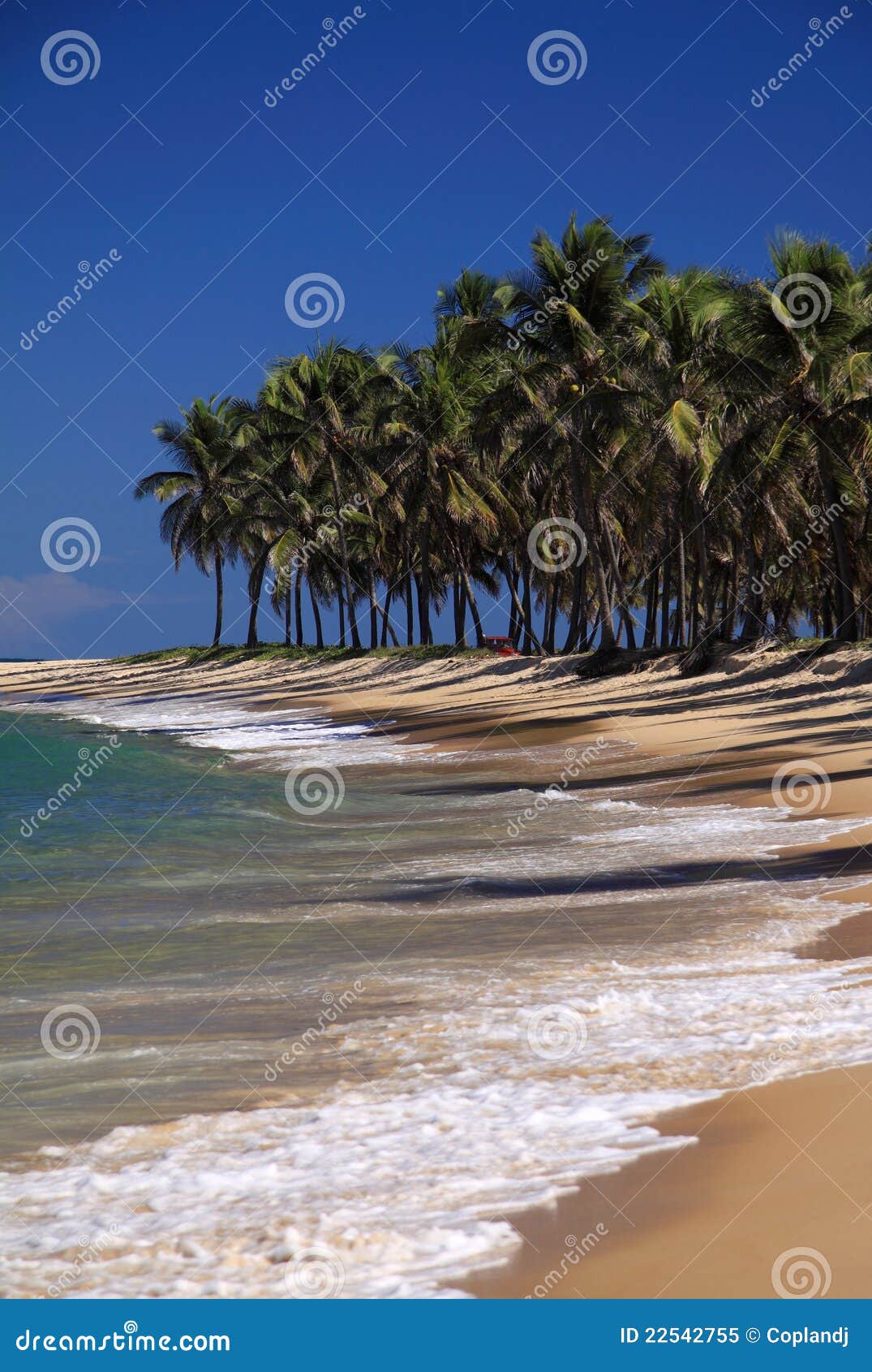 Brazil Maceio Gunga Beach stock image. Image of beach - 22542755