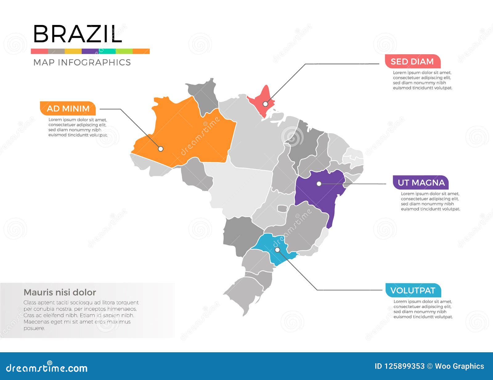 Brazil Map Infographics Vector Template with Regions and Pointer Marks ...