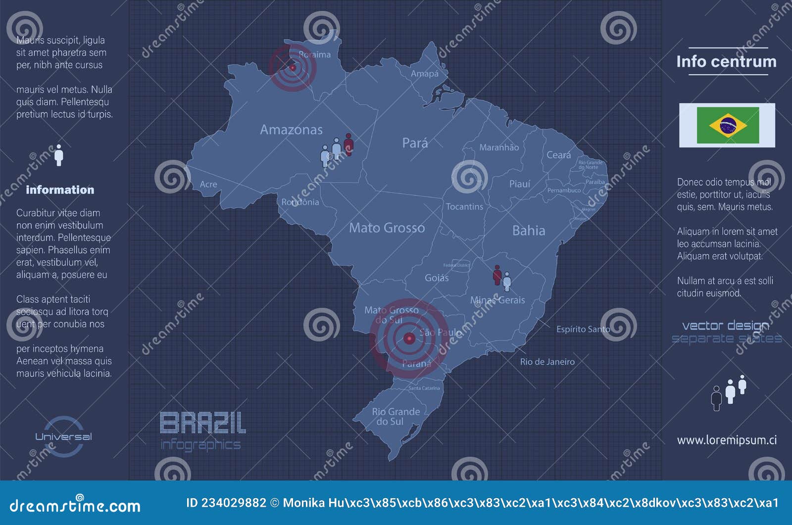 Brazil Map, Separate Regions with Names, Infographics Blue Flat Design ...