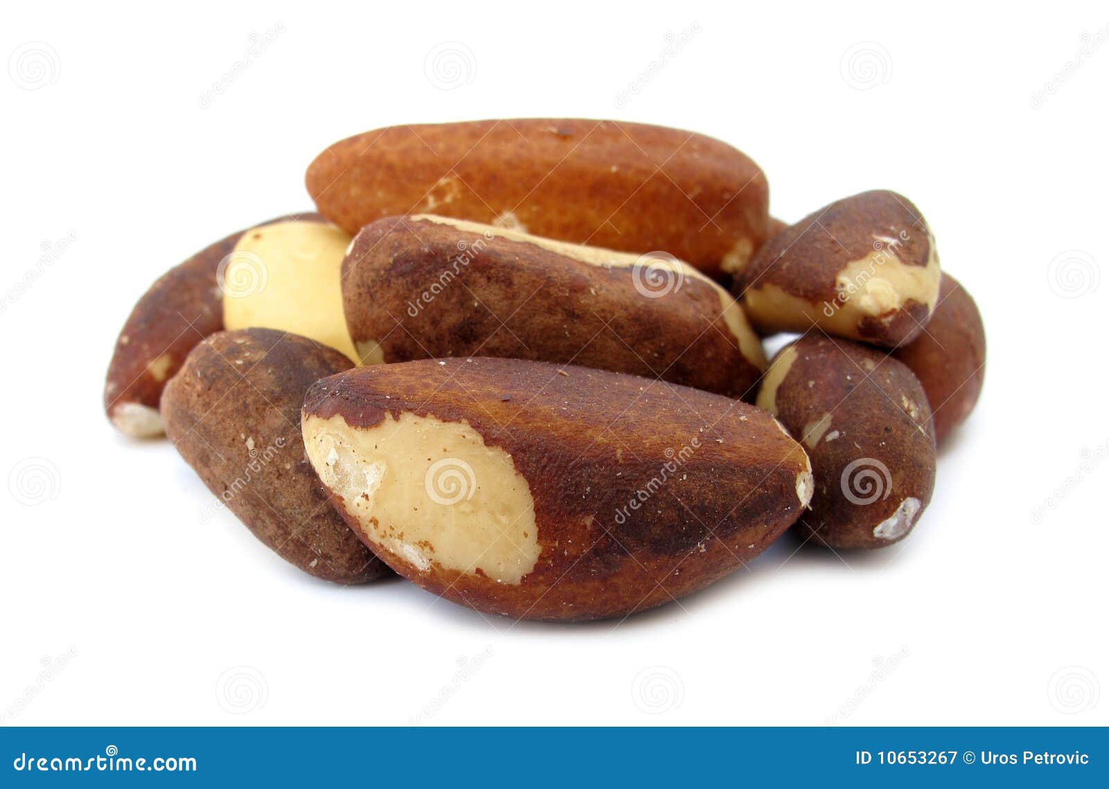 Brazil nut stock image. Image of flavorous, isolated - 10653267