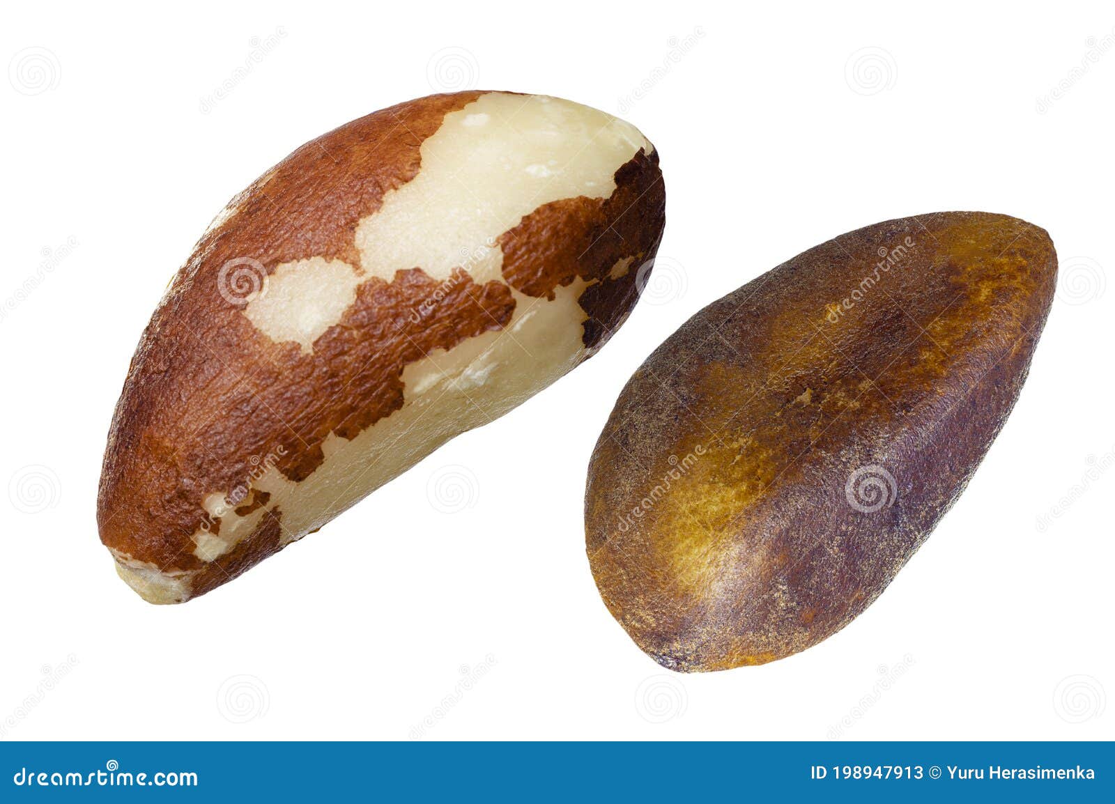 Brazil Nut Isolated Closeup without Shell As Package Design Element ...