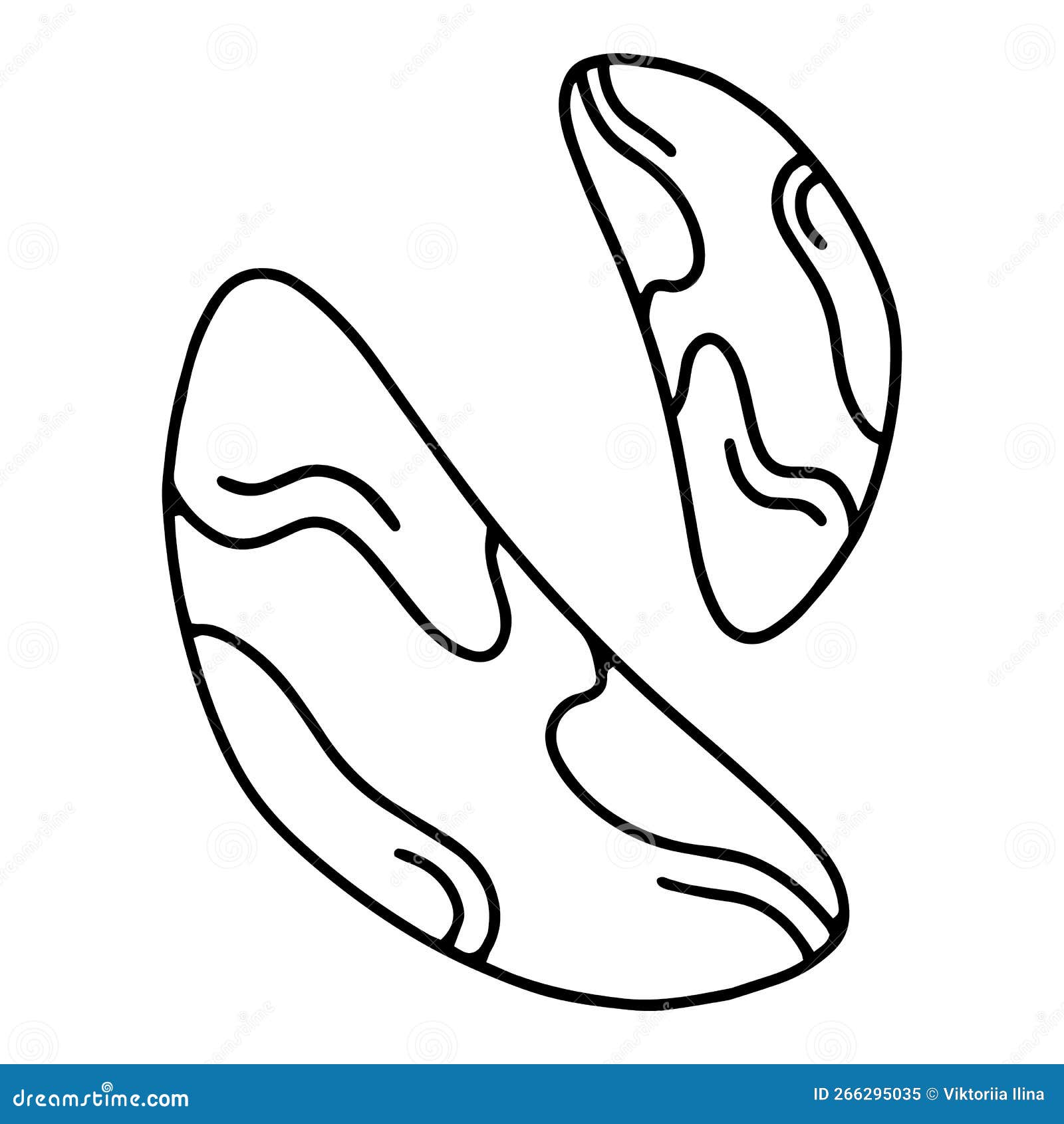 Brazil Nut in a Shell Simple Linear Cartoon Icon in Doodle Style Stock ...