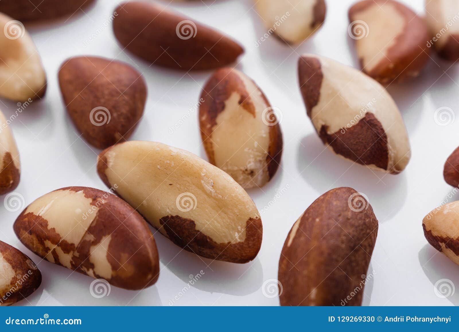 Brazil Nut on a White Acrylic Background Stock Photo - Image of heap ...