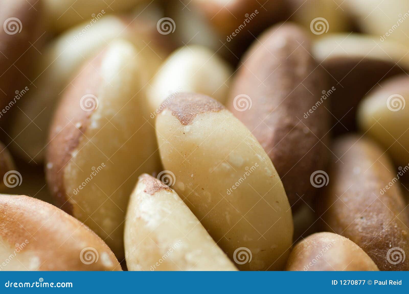 Brazil Nuts stock image. Image of nourishment, still, brazil - 1270877