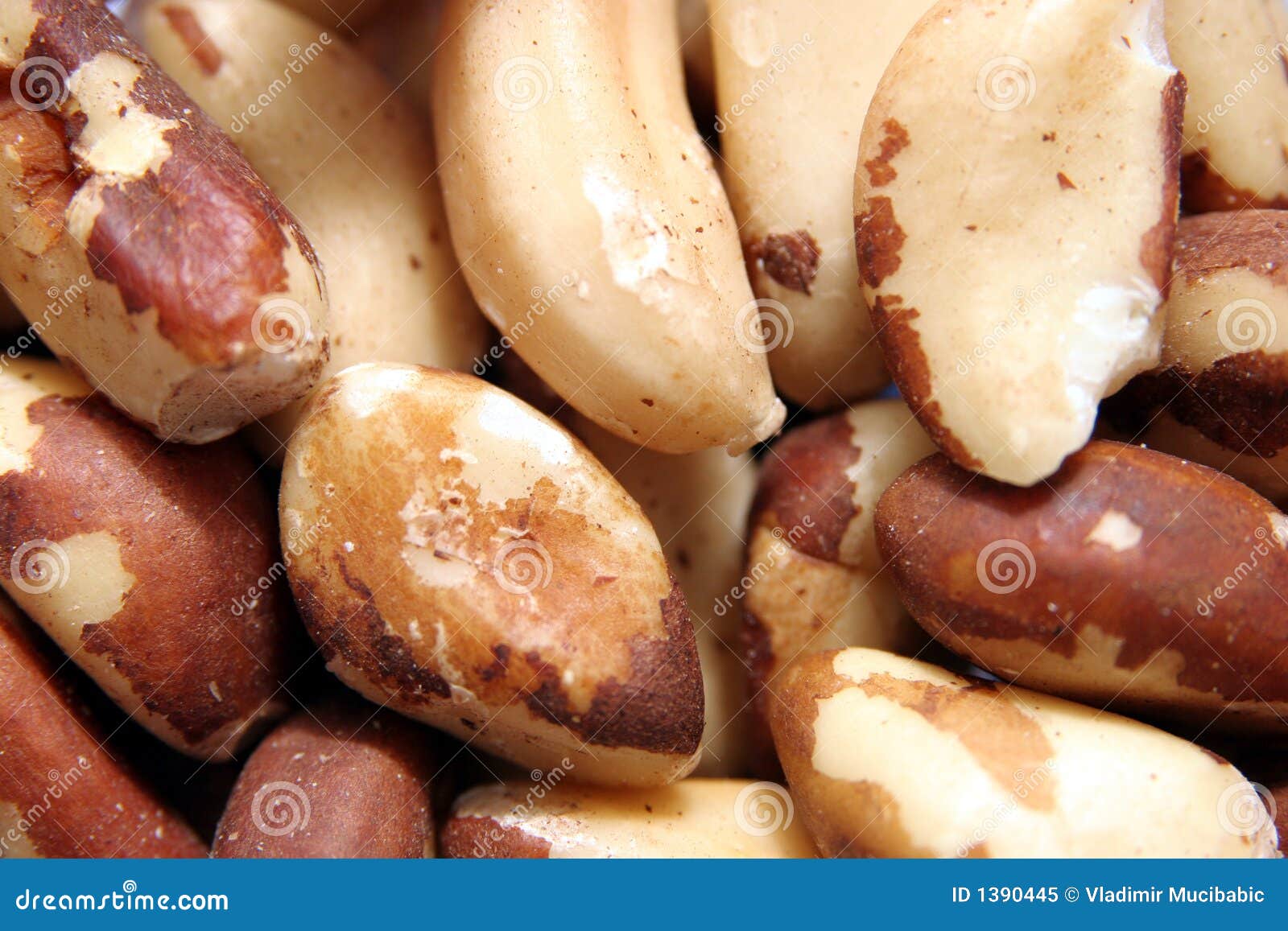 Brazil nuts stock image. Image of macro, fresh, sale, export - 1390445