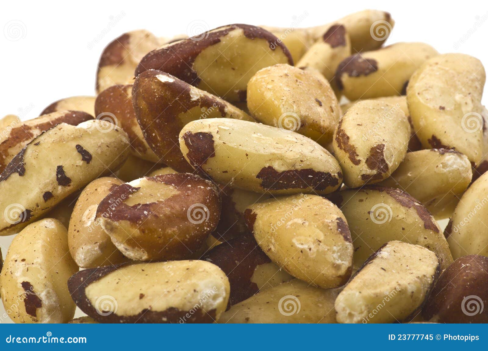 Brazil nuts stock image. Image of seed, nature, heap - 23777745