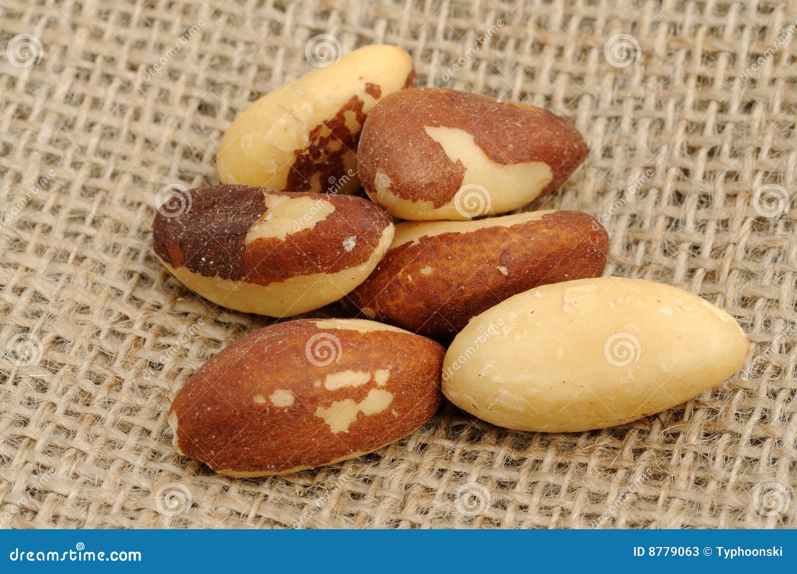 Brazil nuts stock image. Image of horizontal, roasted - 8779063