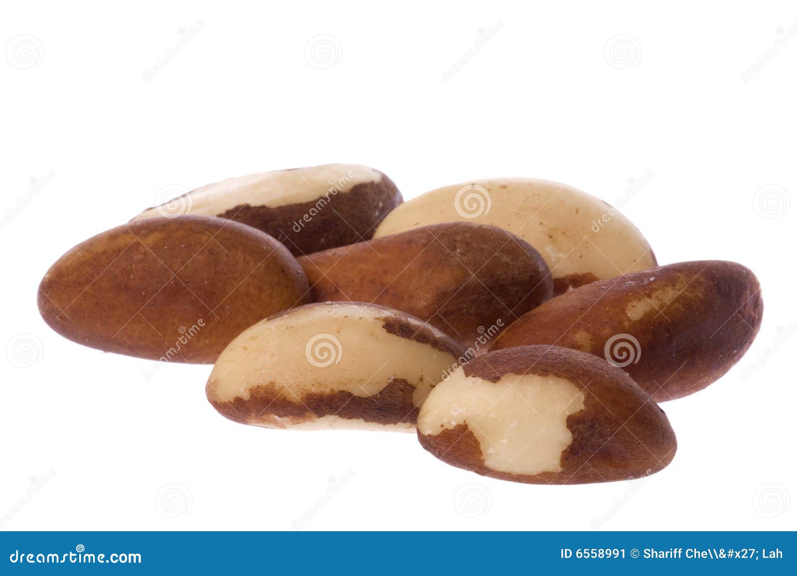 Brazil Nuts Isolated stock image. Image of healthy, brown - 6558991