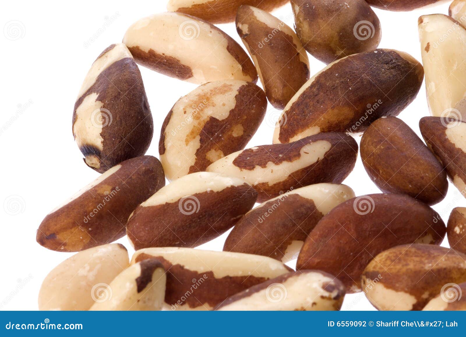 Brazil Nuts Isolated stock photo. Image of macro, nature - 6559092