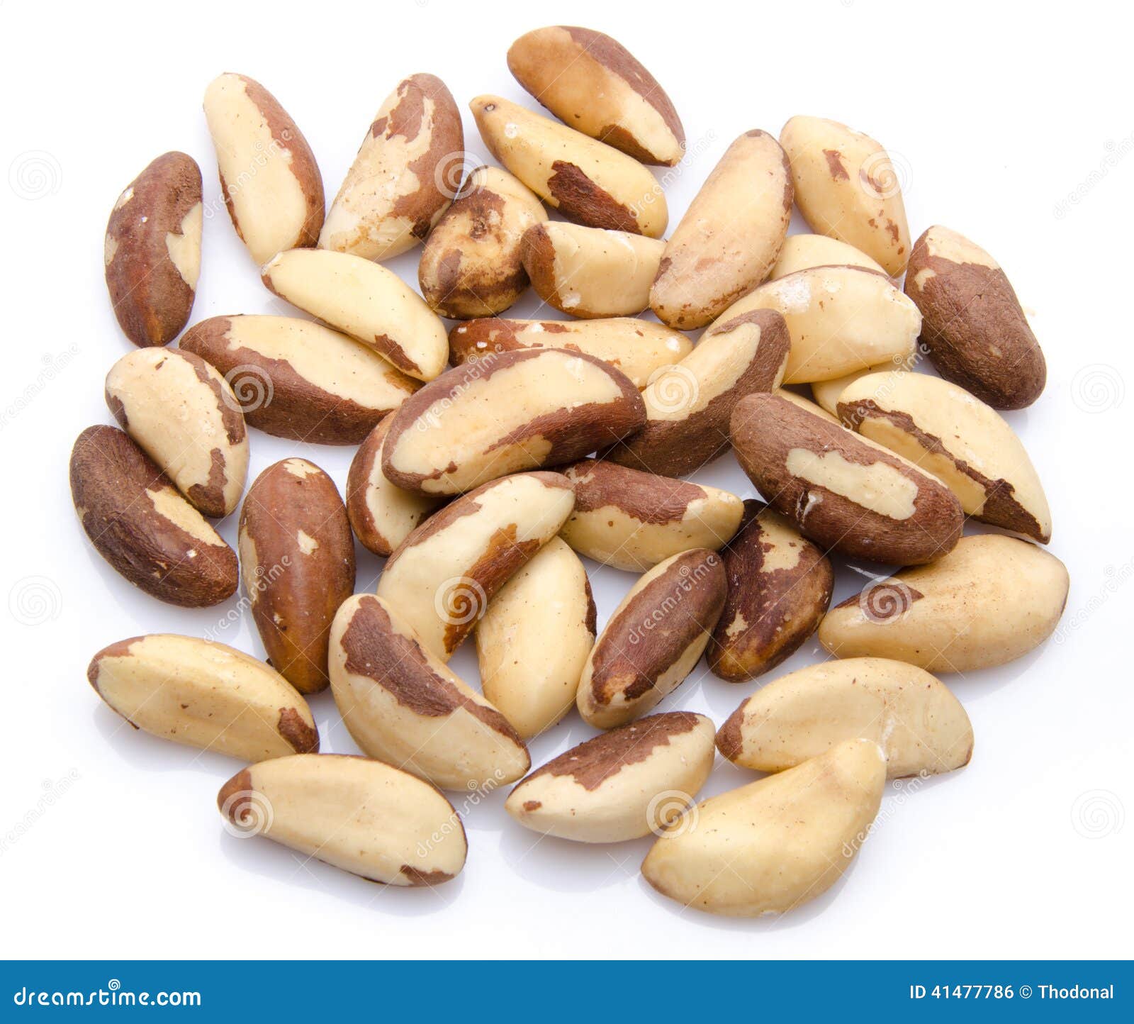 Brazil nuts stock photo. Image of natural, nature, isolated - 41477786