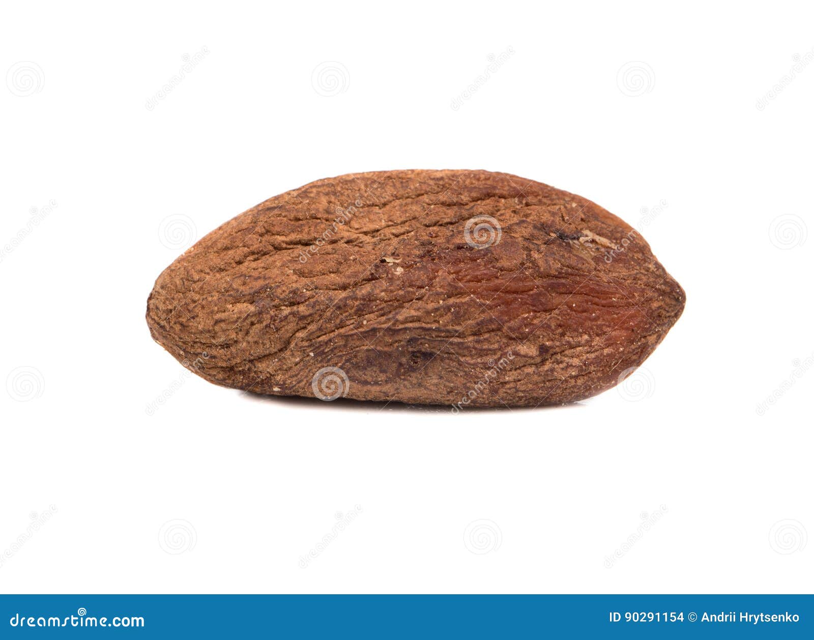 Brazil nuts in shell stock photo. Image of isolation - 90291154