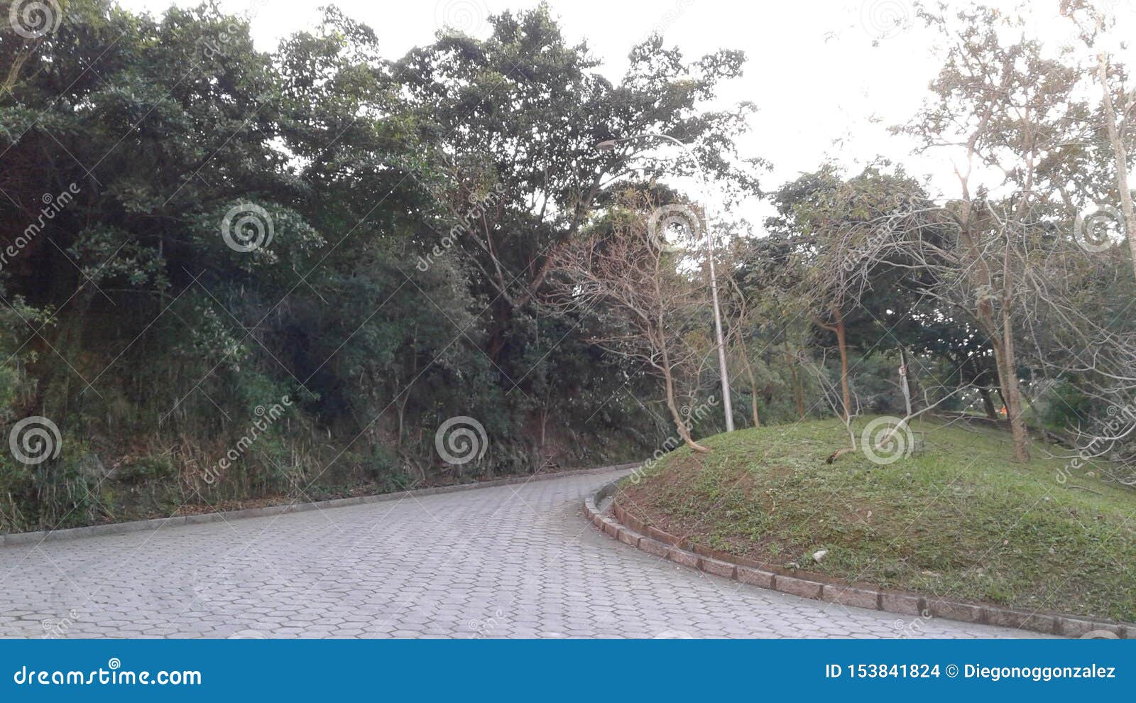 Brazil - Rio De Janeiro - Botafogo - Pasmado Stock Photo - Image of ...